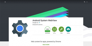 What is Android System WebView App?