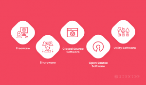 Software 101: A Complete Guide to Different Types of Software