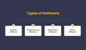 Software 101: A Complete Guide to Different Types of Software