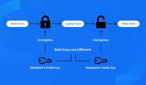 6 Types of Encryption That You Must Know About - Goodcore