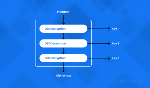 6 Types of Encryption That You Must Know About - Goodcore
